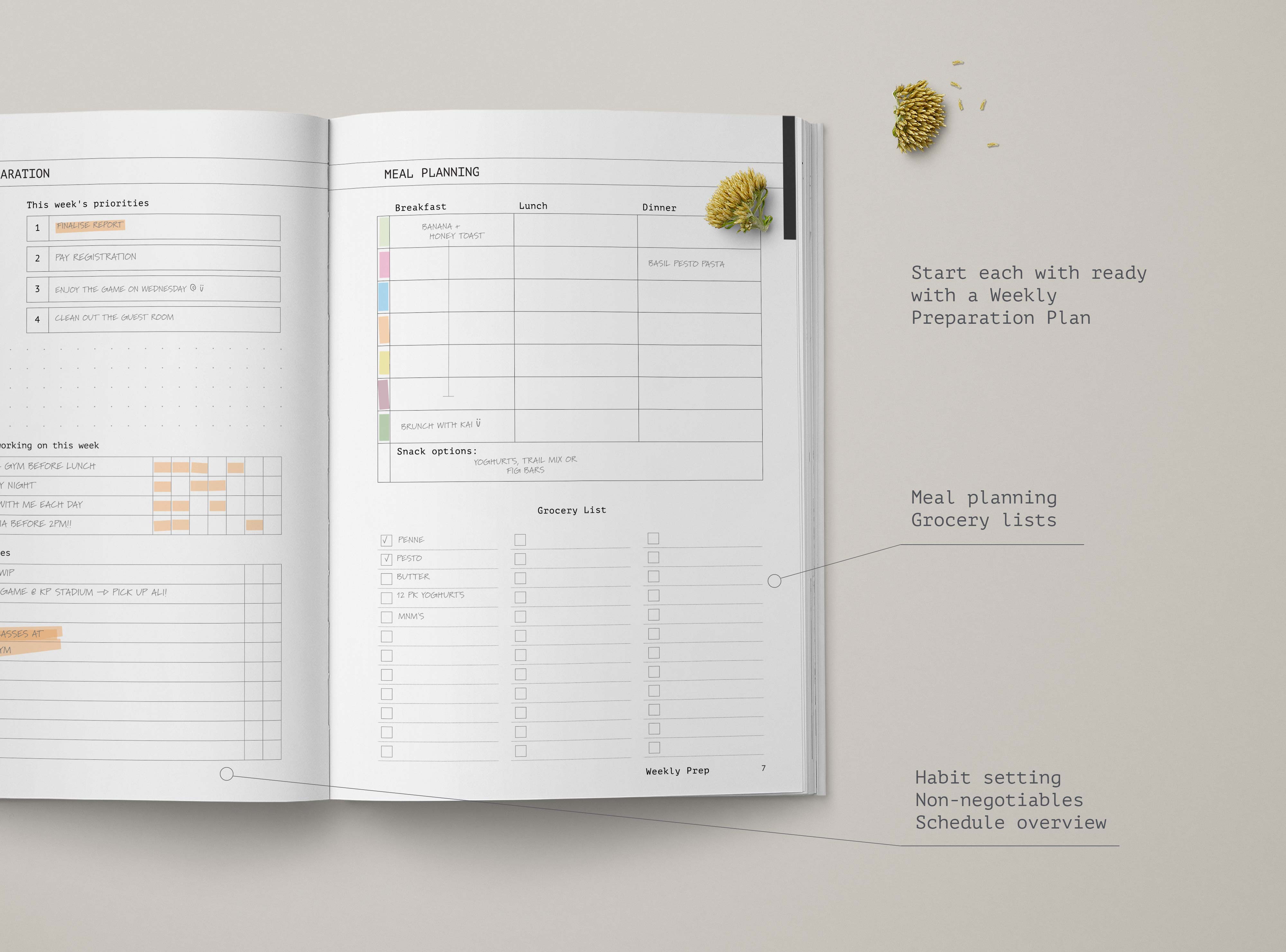 Fast Brain Daily Productivity Planner- Single Notebook – Creator's Friend