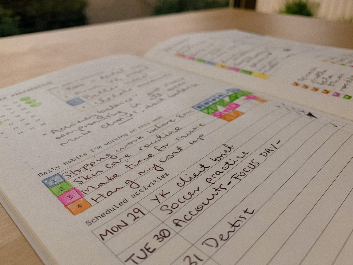 Fast Brain Daily Productivity Planners - Complete Set – Creator's Friend